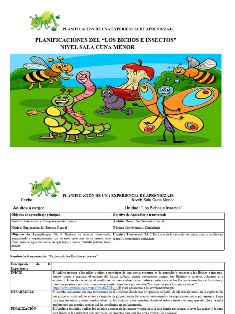 Planificaciones de Sala Cuna Menor Bichos e Insectos Nuevas | PDF | Aprendizaje | Las emociones