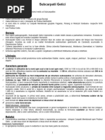 Podisul Getic | PDF