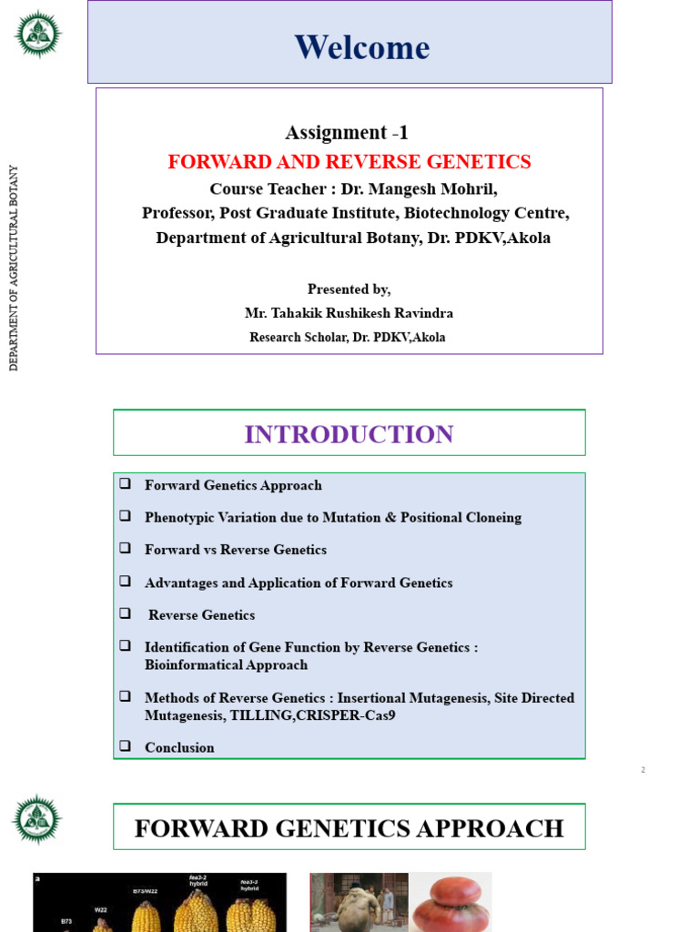 forward and reverse gentics | PDF | Bioinformatics | Genetics