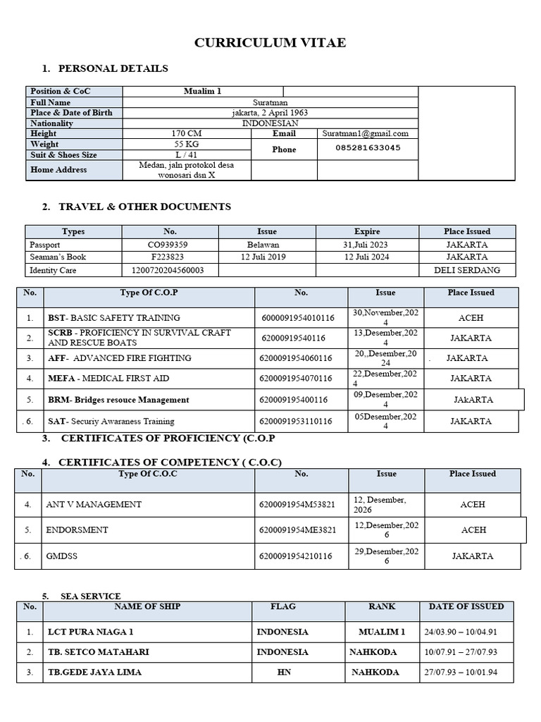 CV Daily Pelaut Engine Cadet | PDF