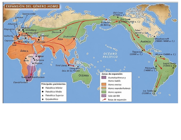 Mapa de Expancion Del Homo | PDF