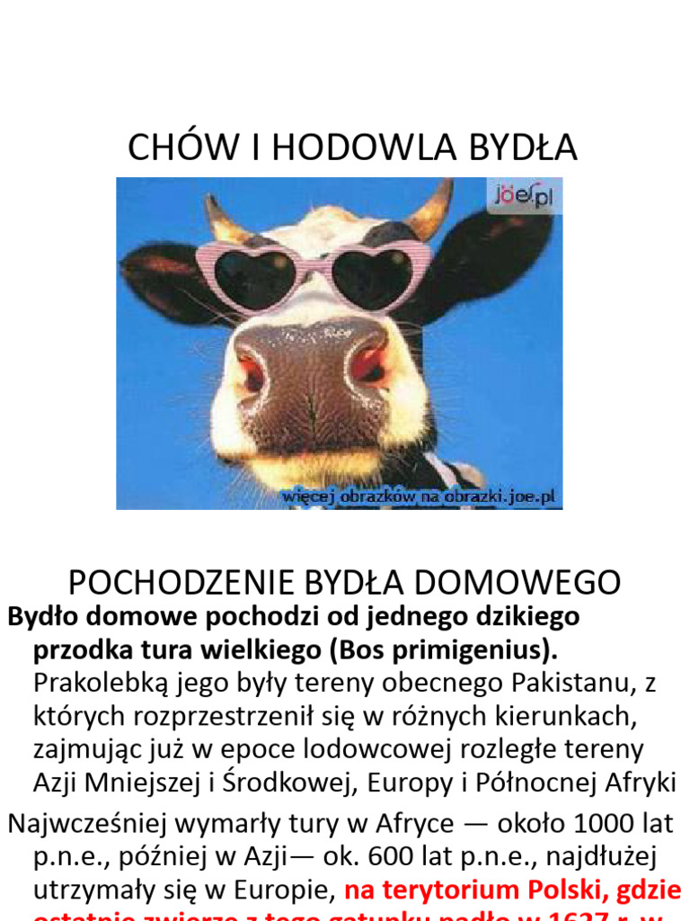 Chã W I Hodowla Bydå A - Nowe | PDF