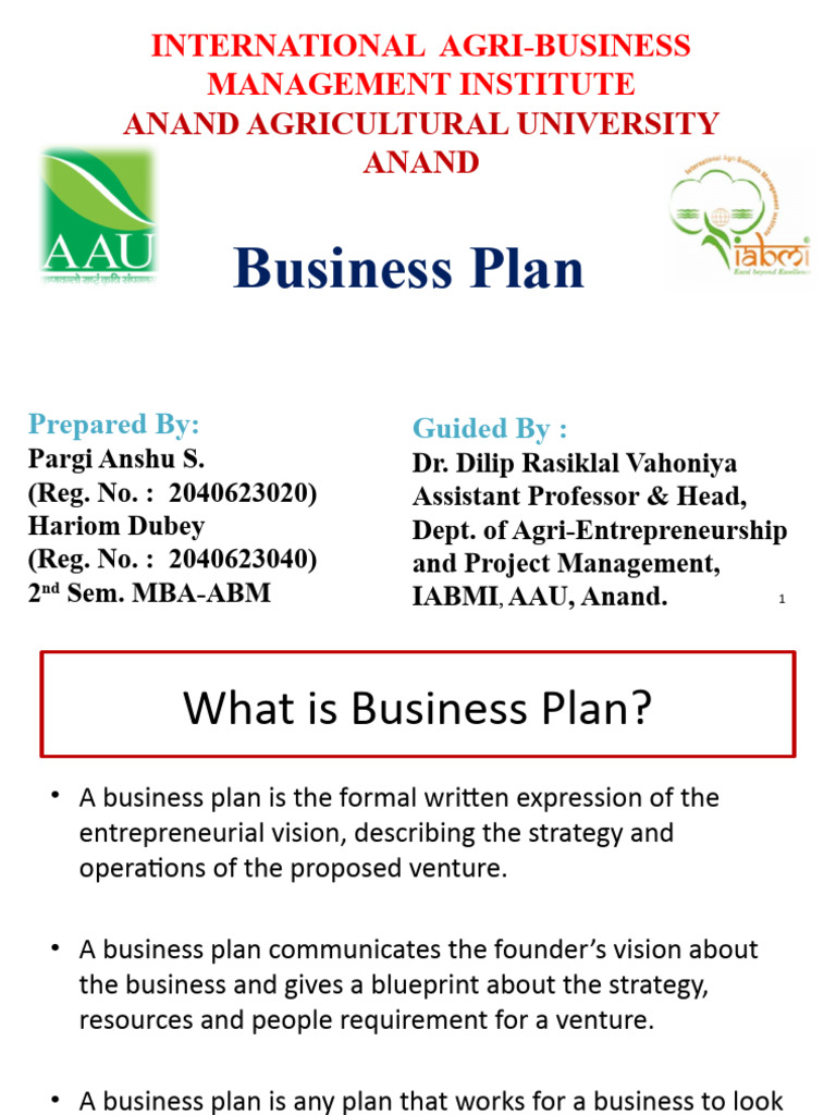 Mitali - Business Plan | PDF | Business Plan | Corporate Finance