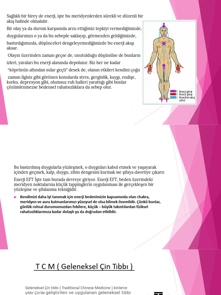 Enerji Kilit Noktaları Meridyenler Notlar | PDF