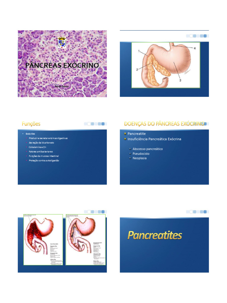 PÂNCREAS EXÓCRINO pdf | PDF | Pâncreas | Bile