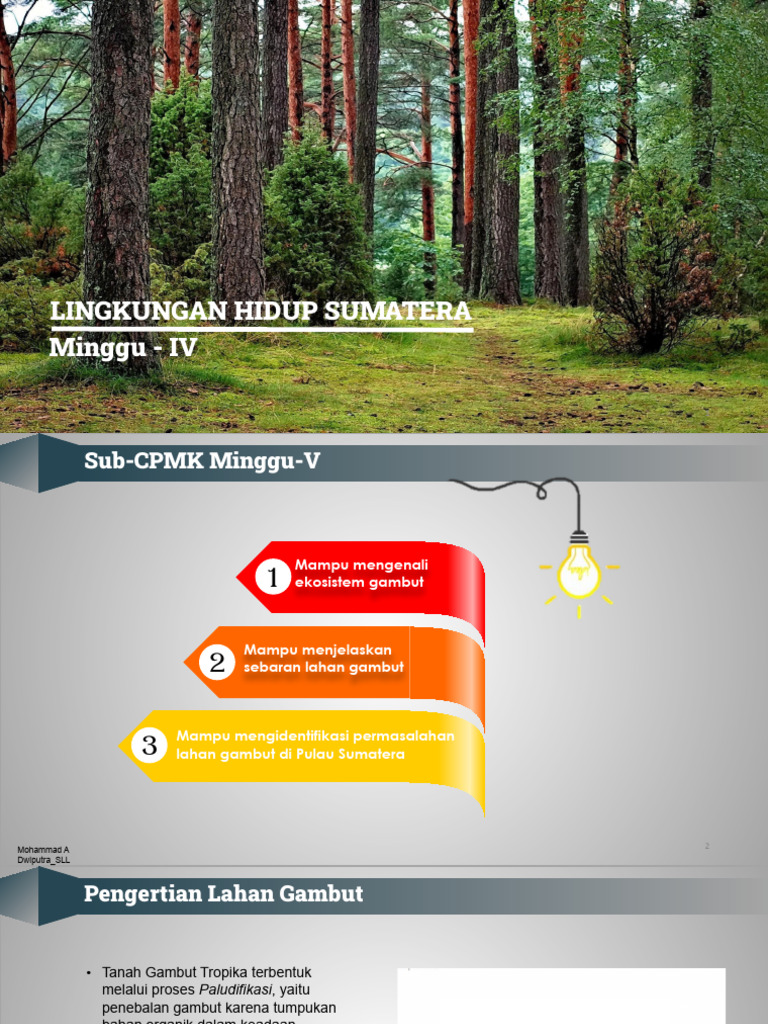 MINGGU 7 - LAHAN GAMBUT PULAU SUMATERA.pptx | PDF
