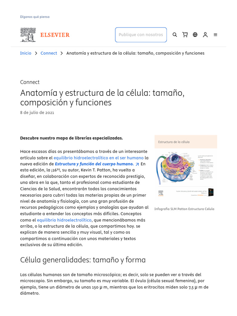 Anatomía y Estructura de La Célula - Tamaño, Composición y Funcio ...