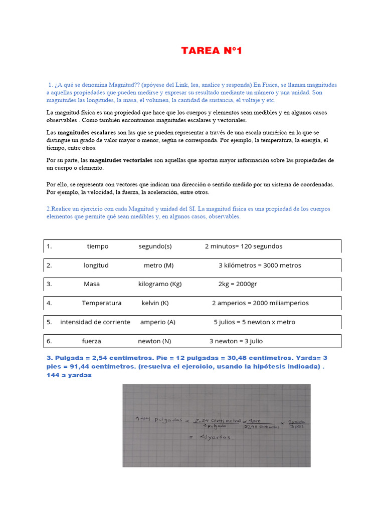 TAREA N°1 Joao Saire | PDF