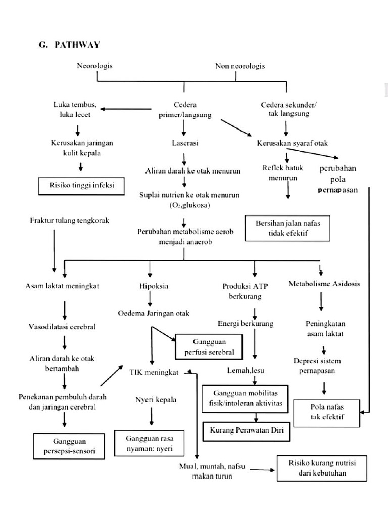 Pathway Edema Serebri PDF | PDF