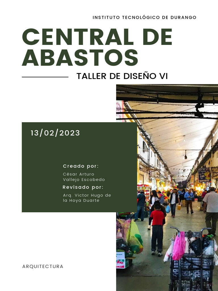INVESTIGACION CENTRAL DE ABASTOS | PDF | Albañilería | Aislador (Electricidad)