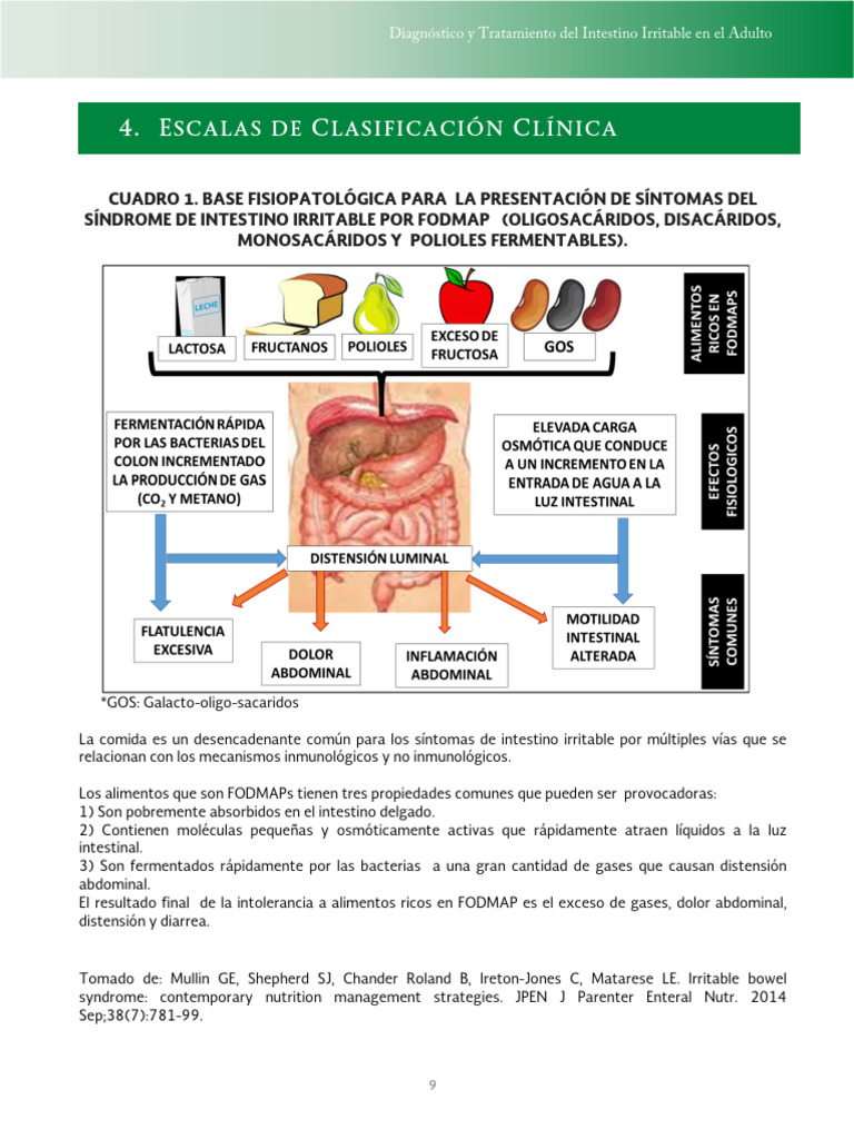Alimentos Colitis | PDF | Alimentos