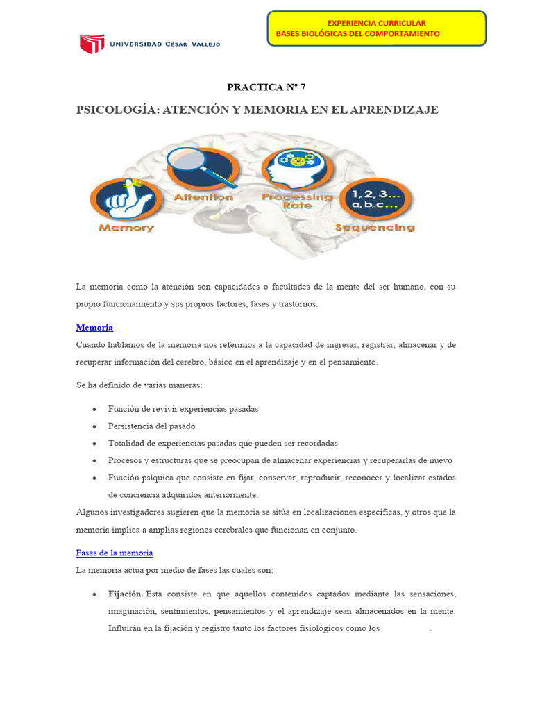 Atención y Memoria en el Aprendizaje | PDF | Memoria | Aprendizaje