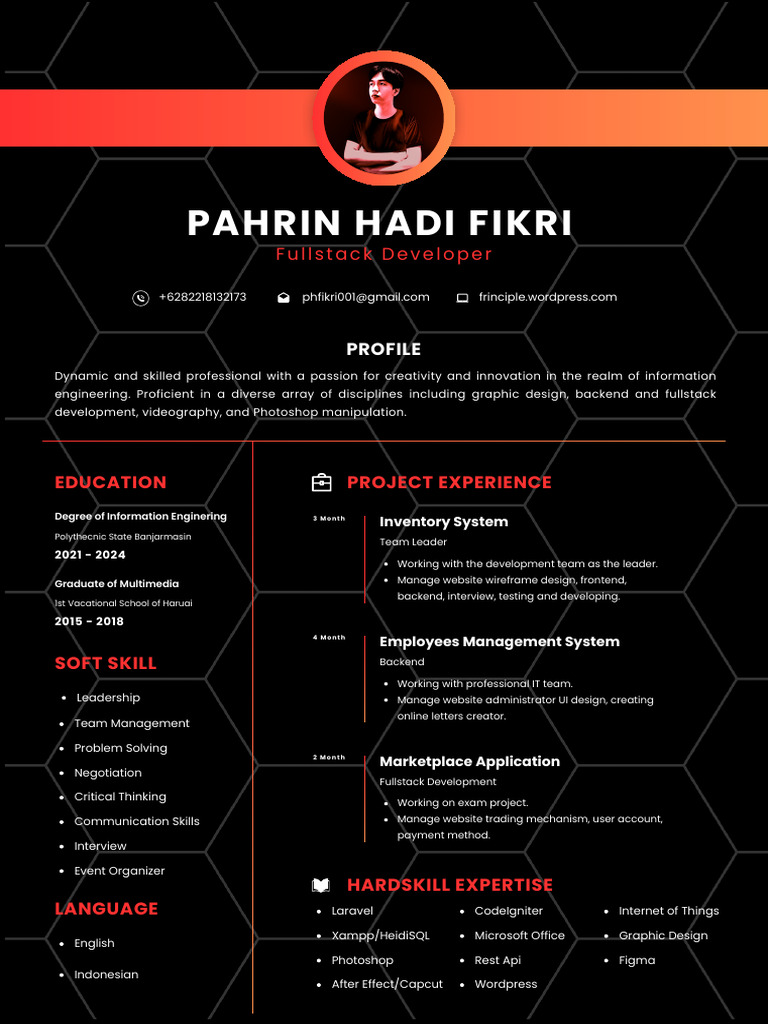Professional CV Resume | PDF | Computing | Software