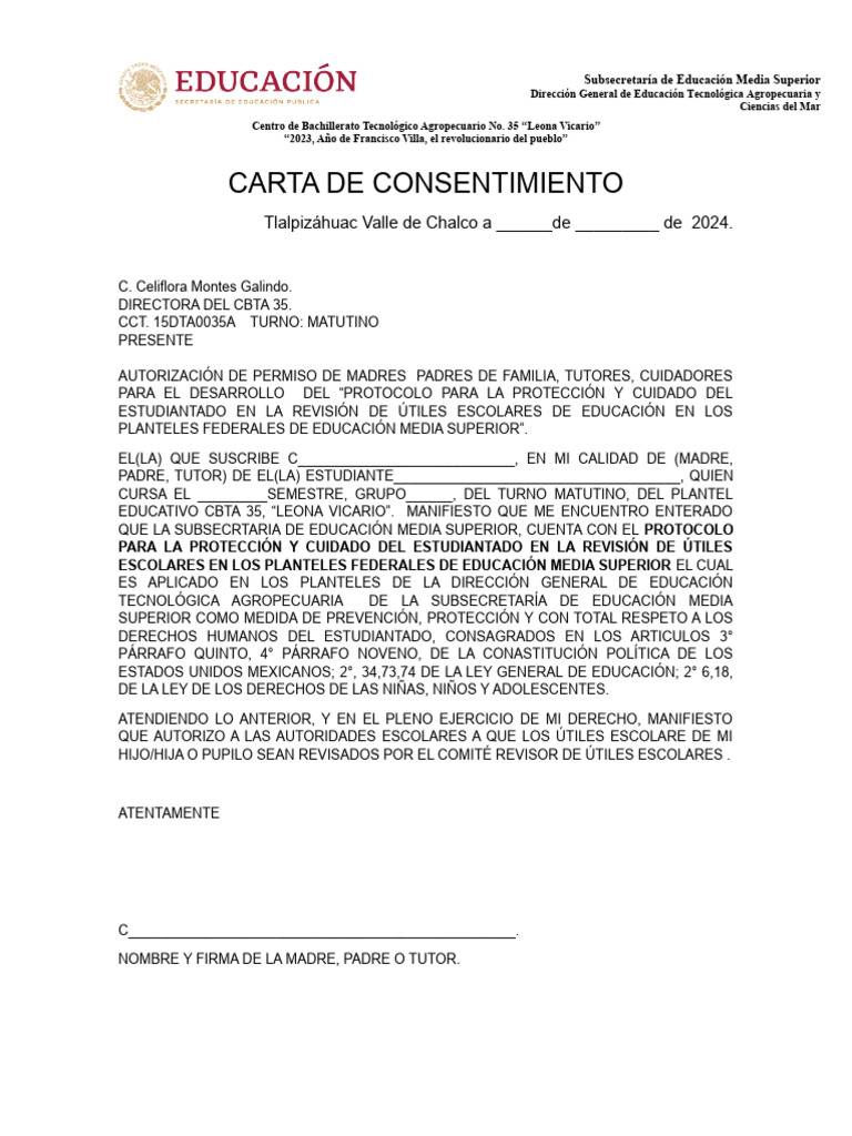Carta de Consentimiento | PDF