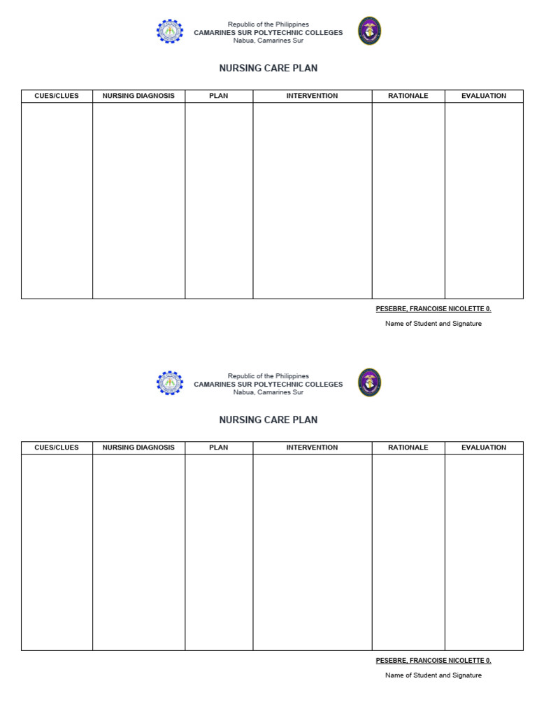 Nursing Care Plan Overview and Details | PDF | Health Care | Nursing