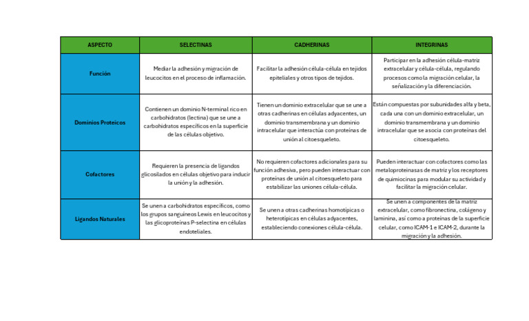 Adhesión Celular: Selectinas, Cadherinas e Integrinas | PDF | Adhesión ...