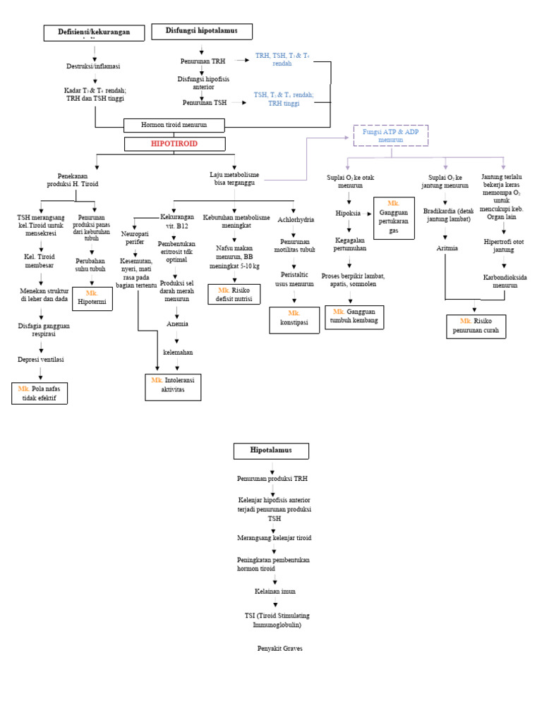 Pathway Hipotiroid | PDF