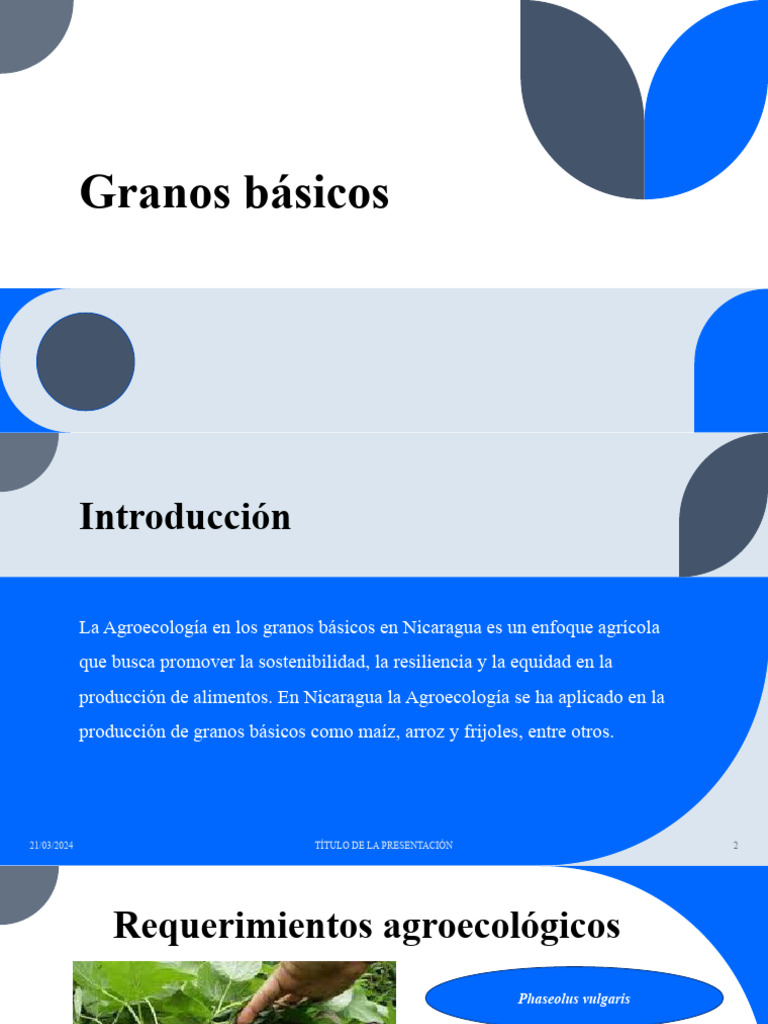 Granos Básicos | PDF | Agricultura | Suelo