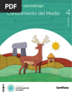 4º Examen Lengua Tema 1 4º Primaria | PDF