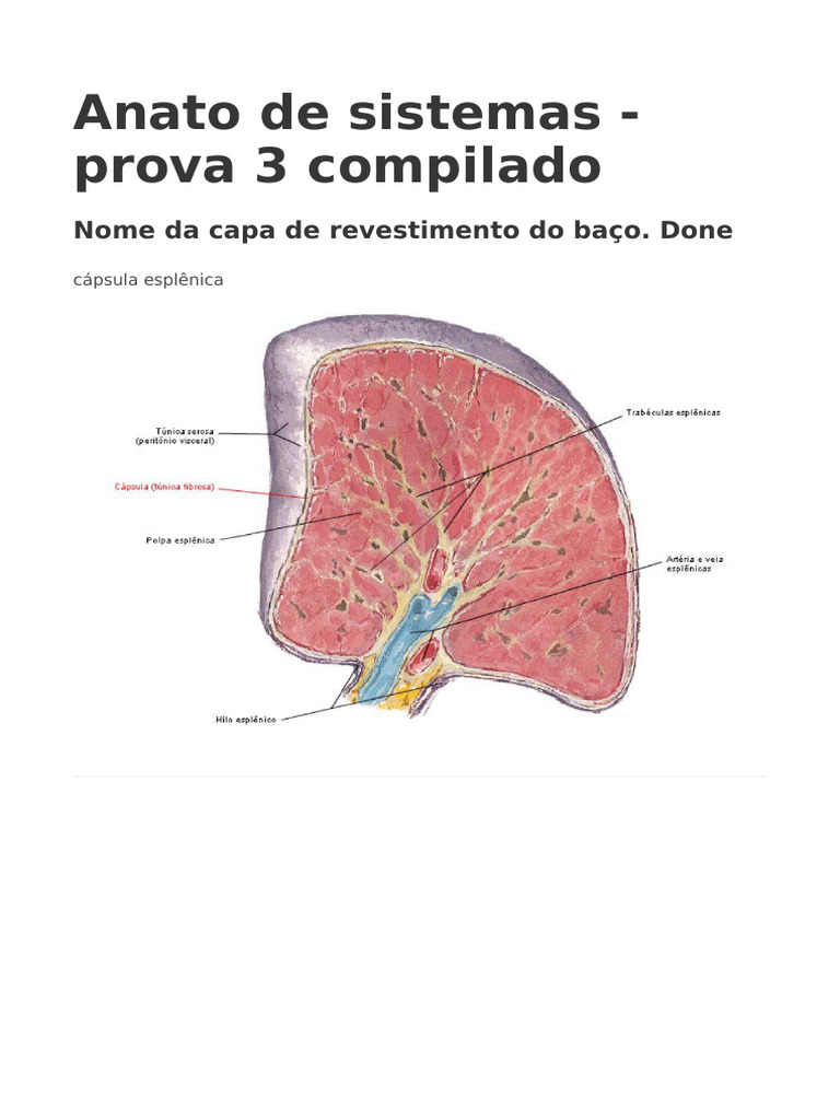 Compilado Prova 3 | PDF