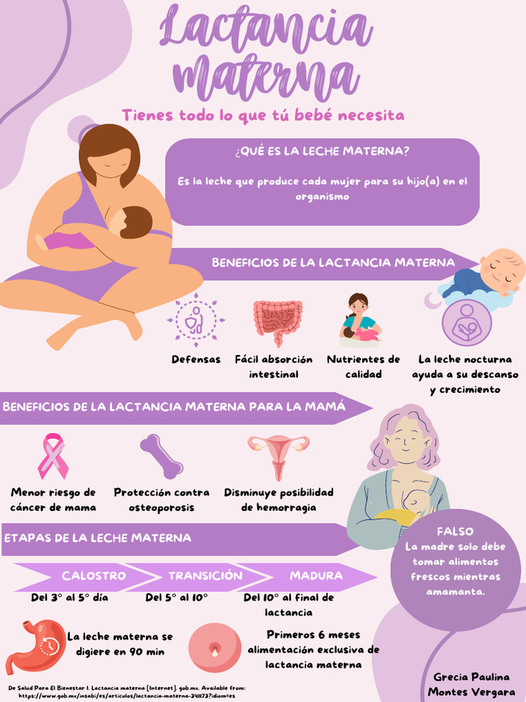 LACTANCIA MATERNA | PDF | Amamantamiento | La leche materna