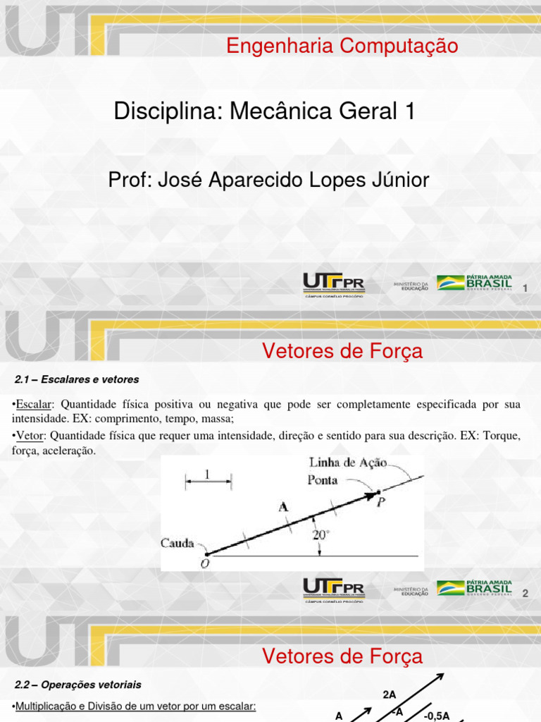 Adição de Vetores de Força | PDF | Vetor euclidiano | Física Aplicada e ...