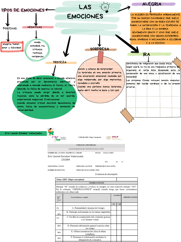 Mapa Conceptual “EMOCIONES” | PDF | Las emociones | Ira