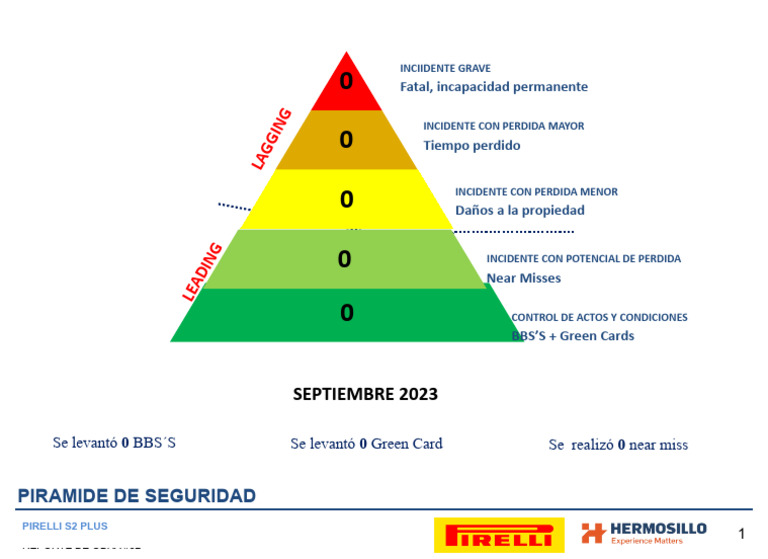 Piramide de Bird | PDF