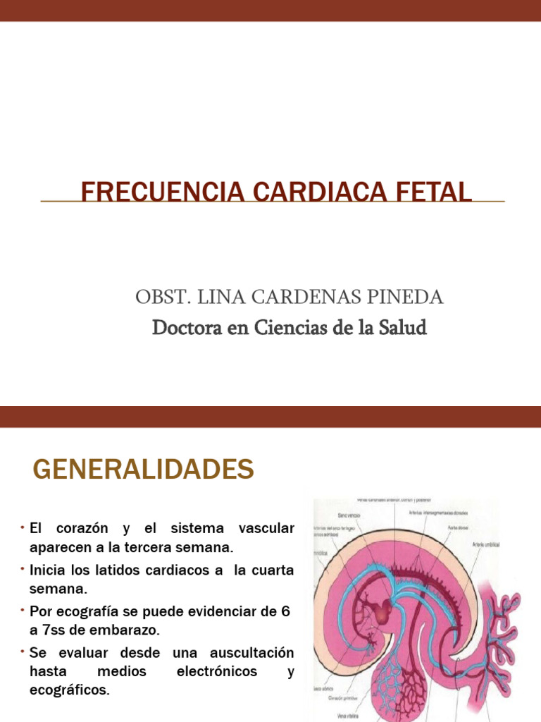 Latidos Cardiacos Fetales LINEA DE BASE Y VARIABILIDAD | PDF | Placenta ...