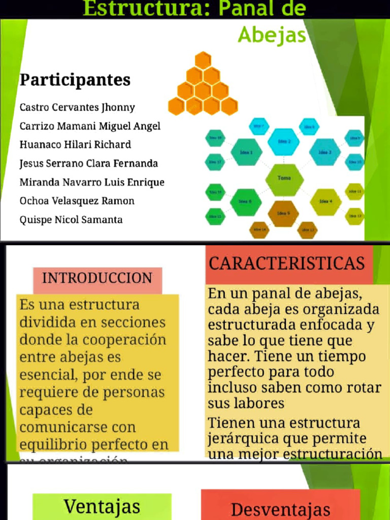 Estructura Y Características Del Panal De Abejas Pdf Apicultura