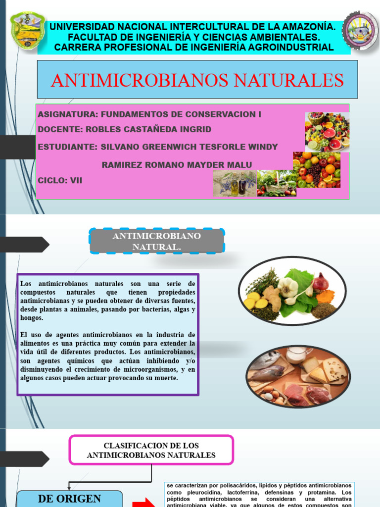 Ppt. Antimicrobianos Naturales. Mayder y Tefo | PDF | Antimicrobiano ...