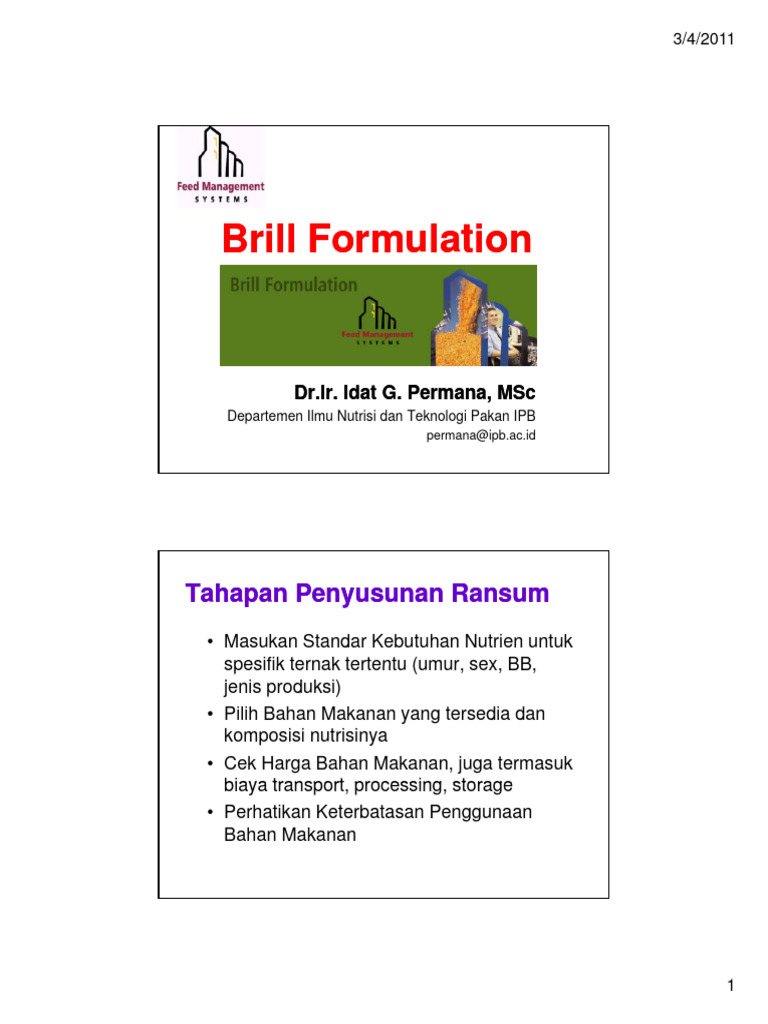 13 Program Brill Practices | PDF