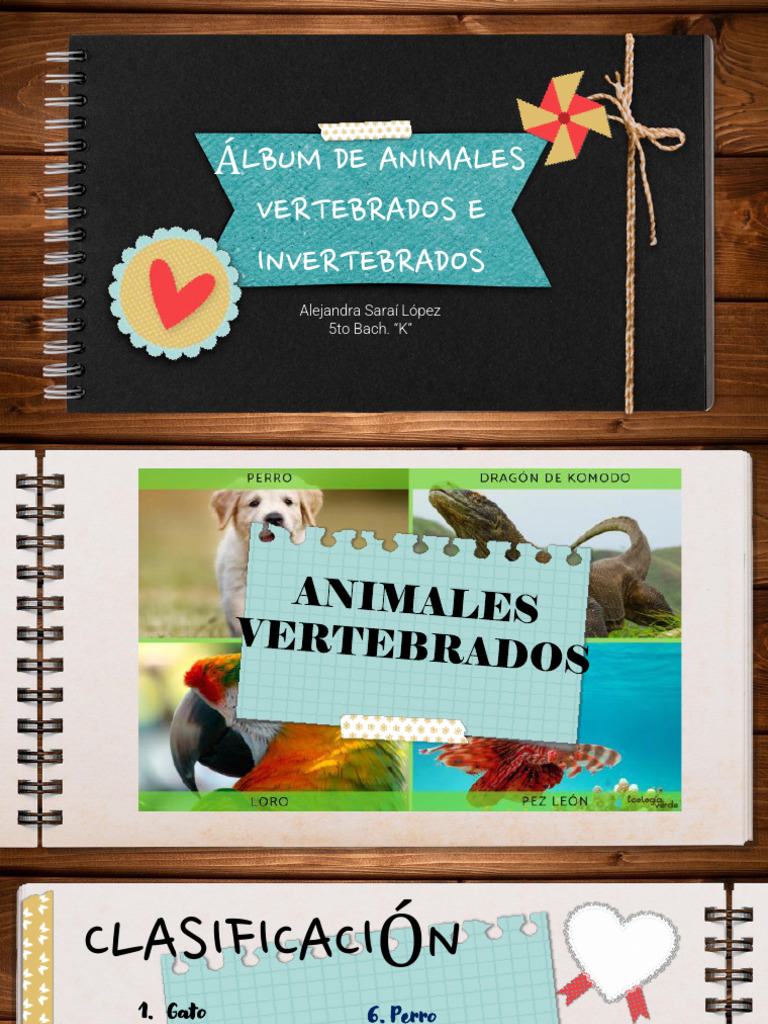 Álbum de Animales Vertebrados e Invertebrados | PDF | Insectos | Mosca