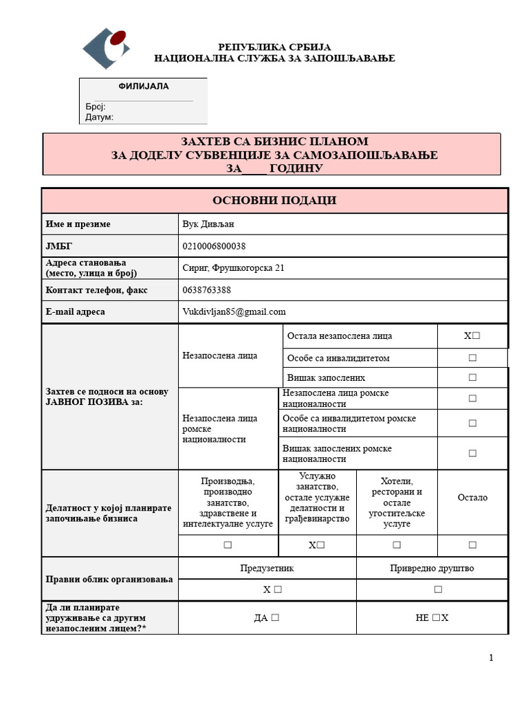 Vuk Divljan, Poslovni Plan E-31 | PDF