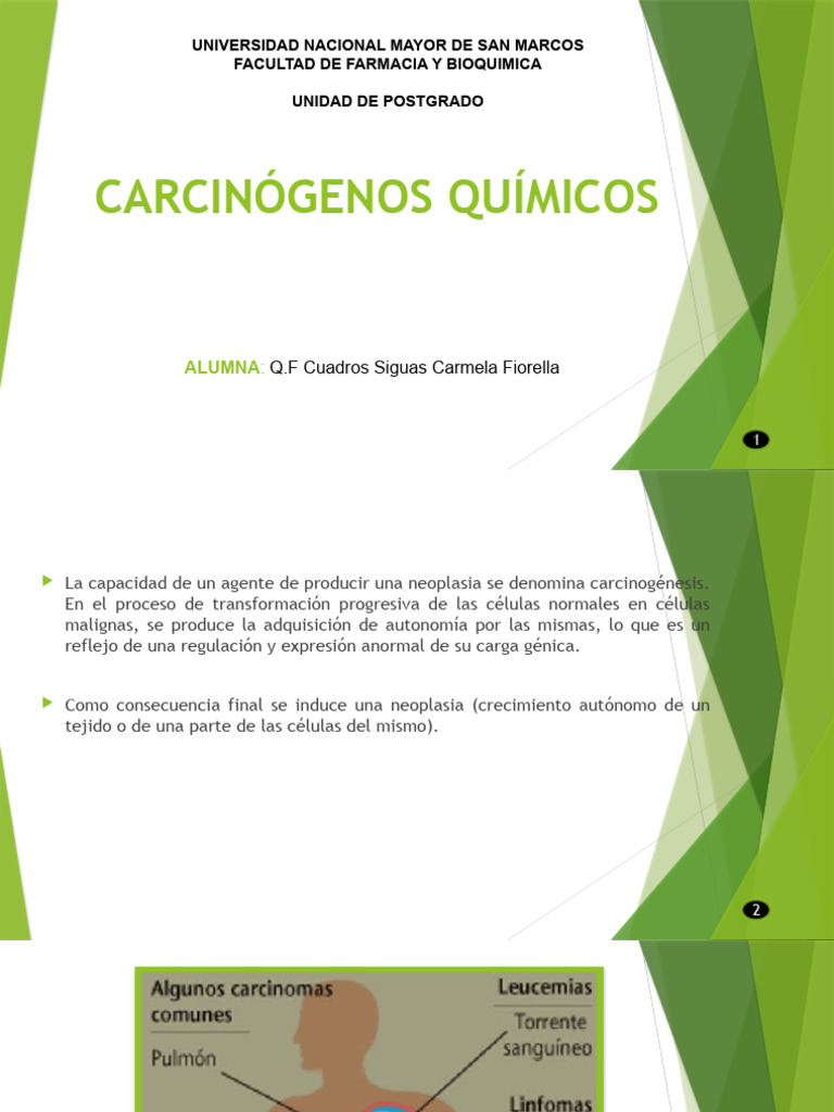 CARCINÓGENOS QUÍMICOS | PDF | Cáncer | Carcinogénesis
