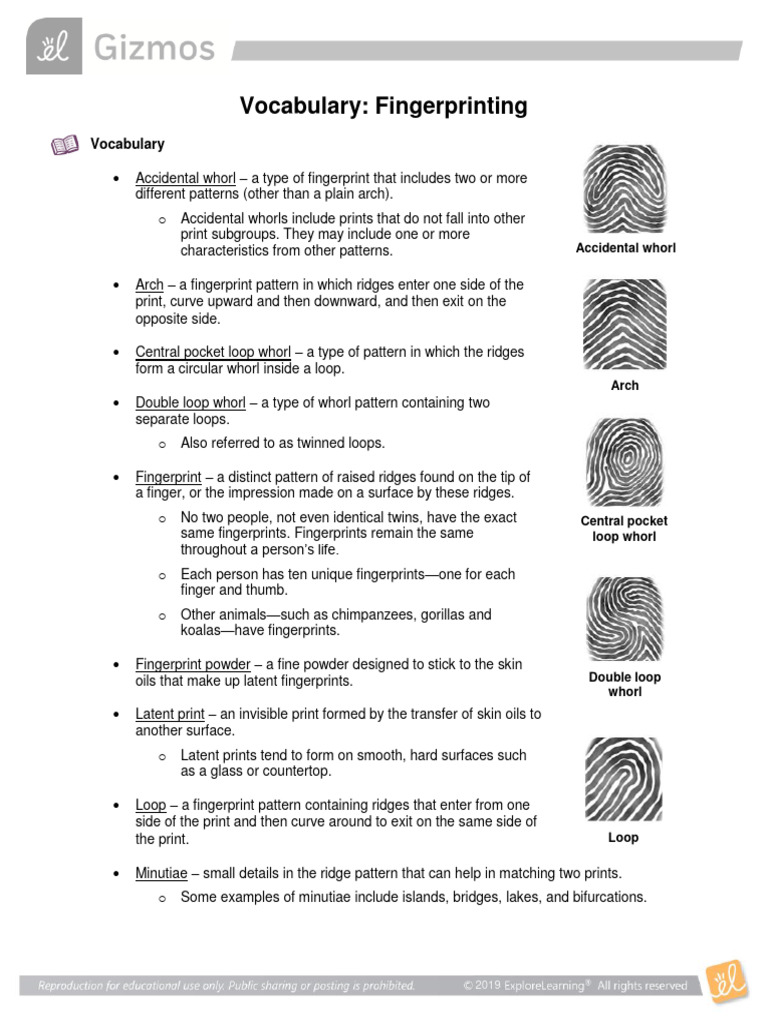 Fingerprinting Vocab | Download Free PDF | Fingerprint