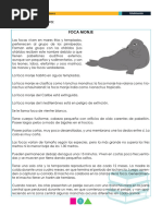 Focas Bebés | PDF | Pinnípedo | Hembra