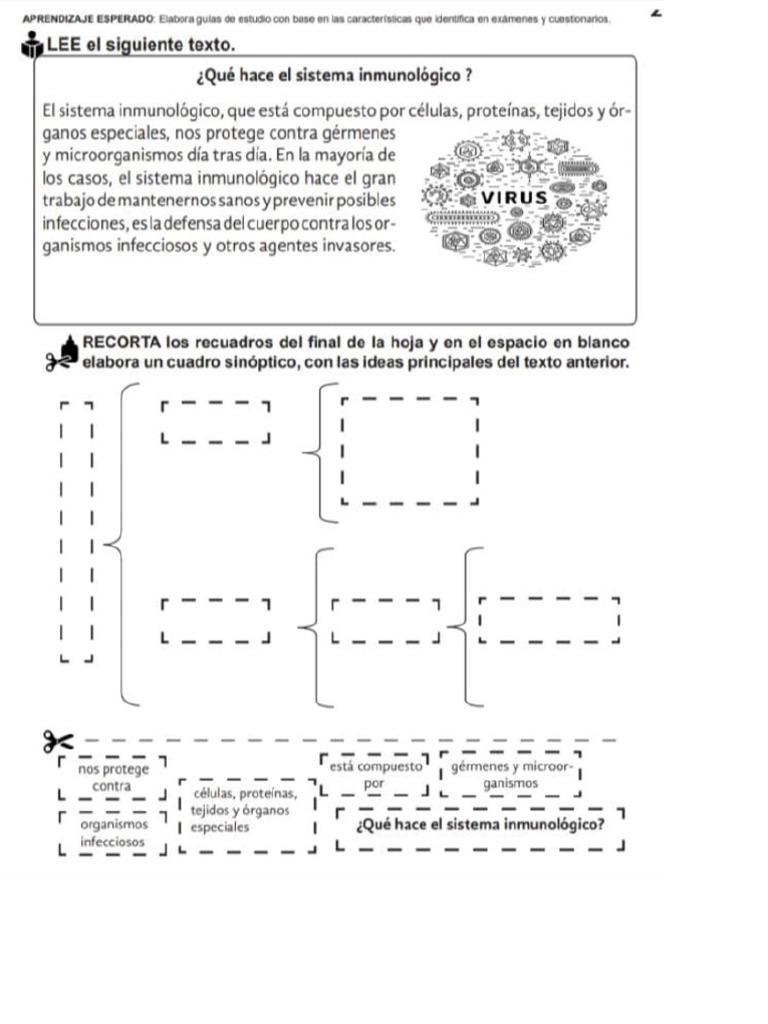 sistema inmunologico | PDF