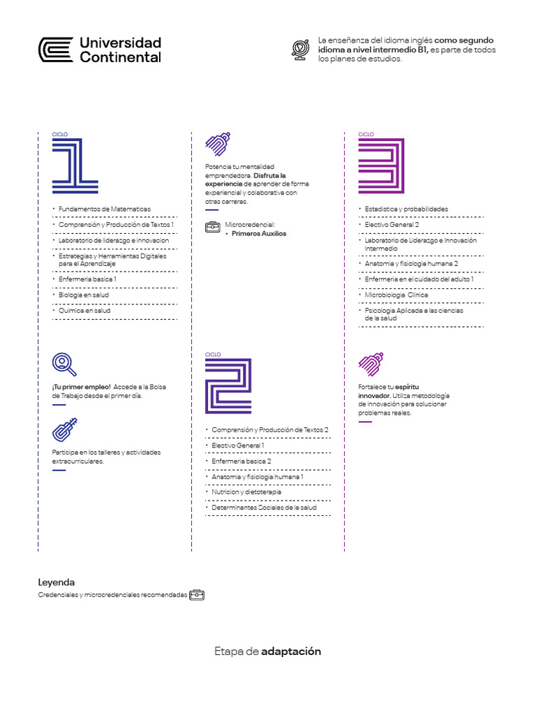 Malla Curricular Enfermeria 2024 | PDF | Enfermería