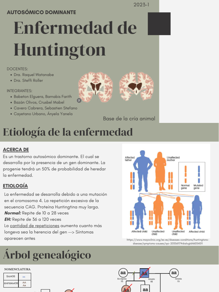 Enfermedad de Huntington | PDF | Epidemiología | Enfermedades y trastornos