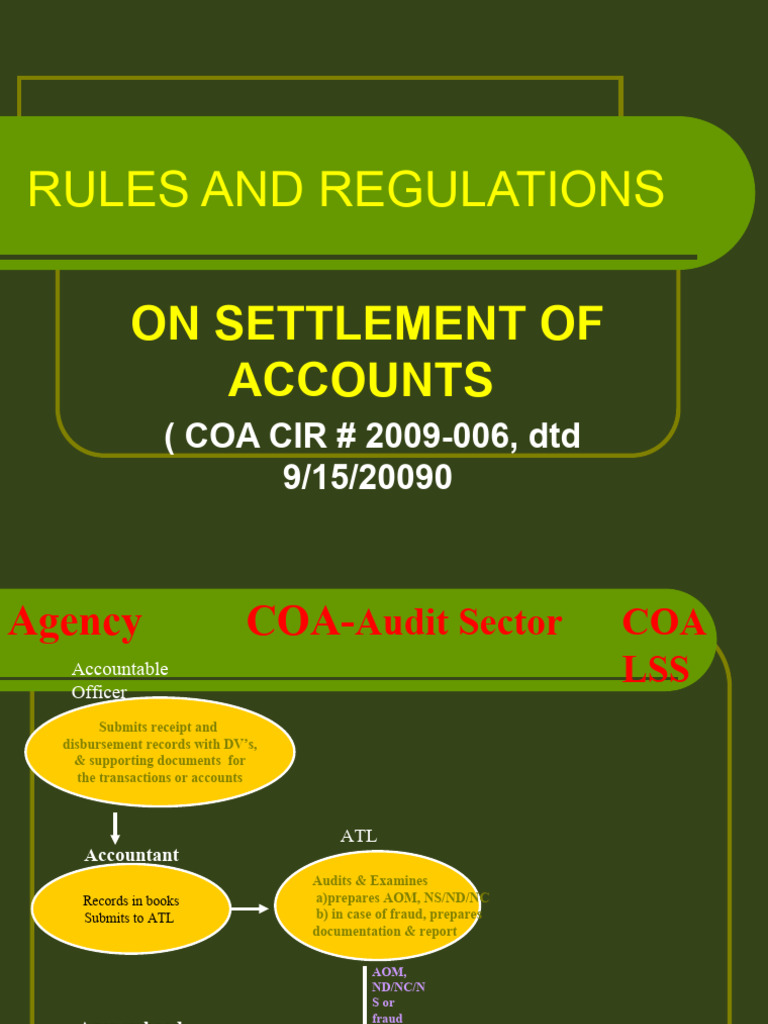 Government Audit Compliance Guide | PDF | Audit | Government