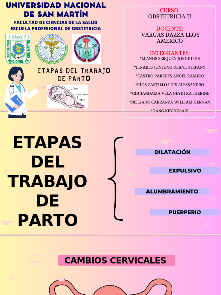 Etapas del Trabajo de Parto en Obstetricia | PDF