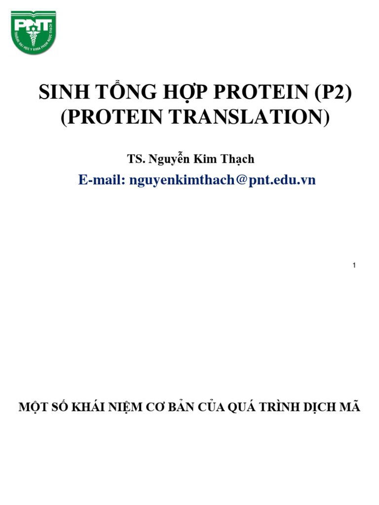 Bài 14. Sinh T NG H P Protein (p2) | PDF