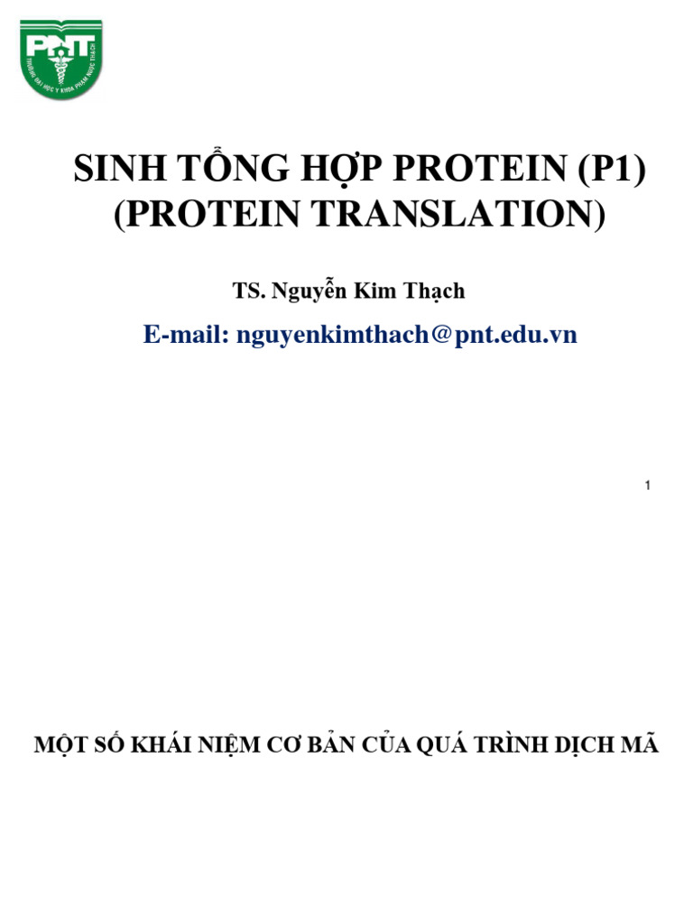 Bài 13. Sinh T NG H P Protein (p1) | PDF