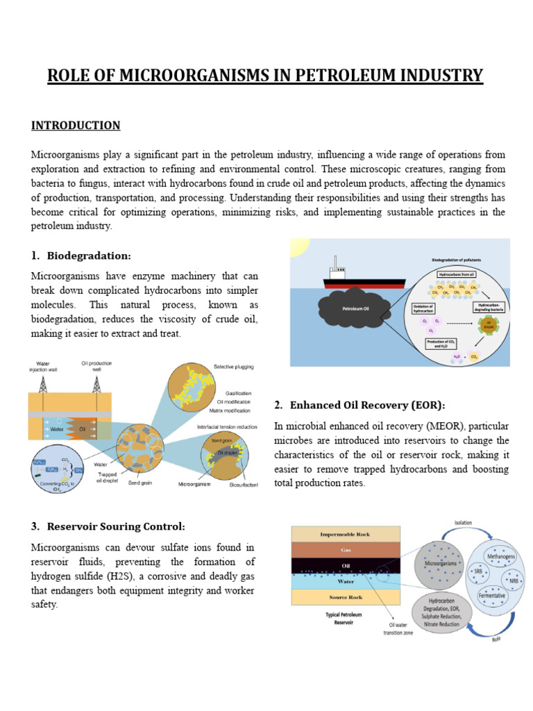 Microbial Roles in Petroleum Industry | PDF | Petroleum | Oil Refinery