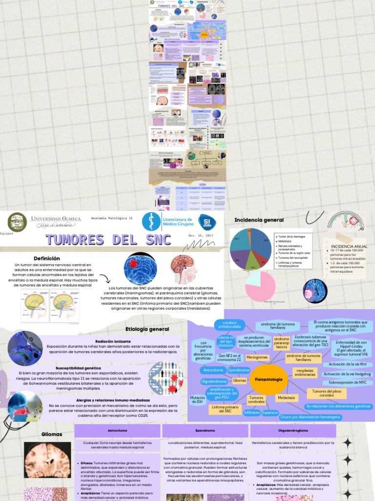 Tumores del SNC, Infografía | PDF | Cáncer | Sistema nervioso central