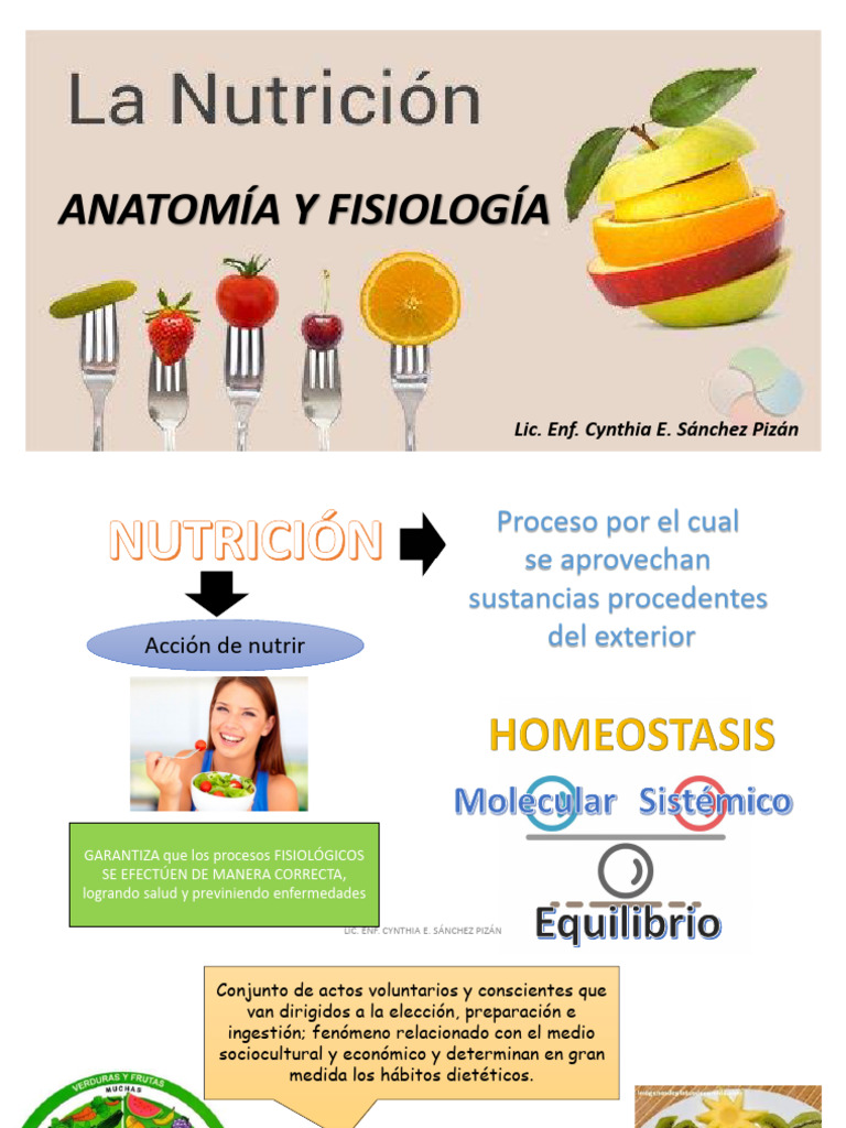 ANATOMÍA Y FISIOLOGÍA DE LA NUTRICIÓN | PDF | Digestión | Sistema ...