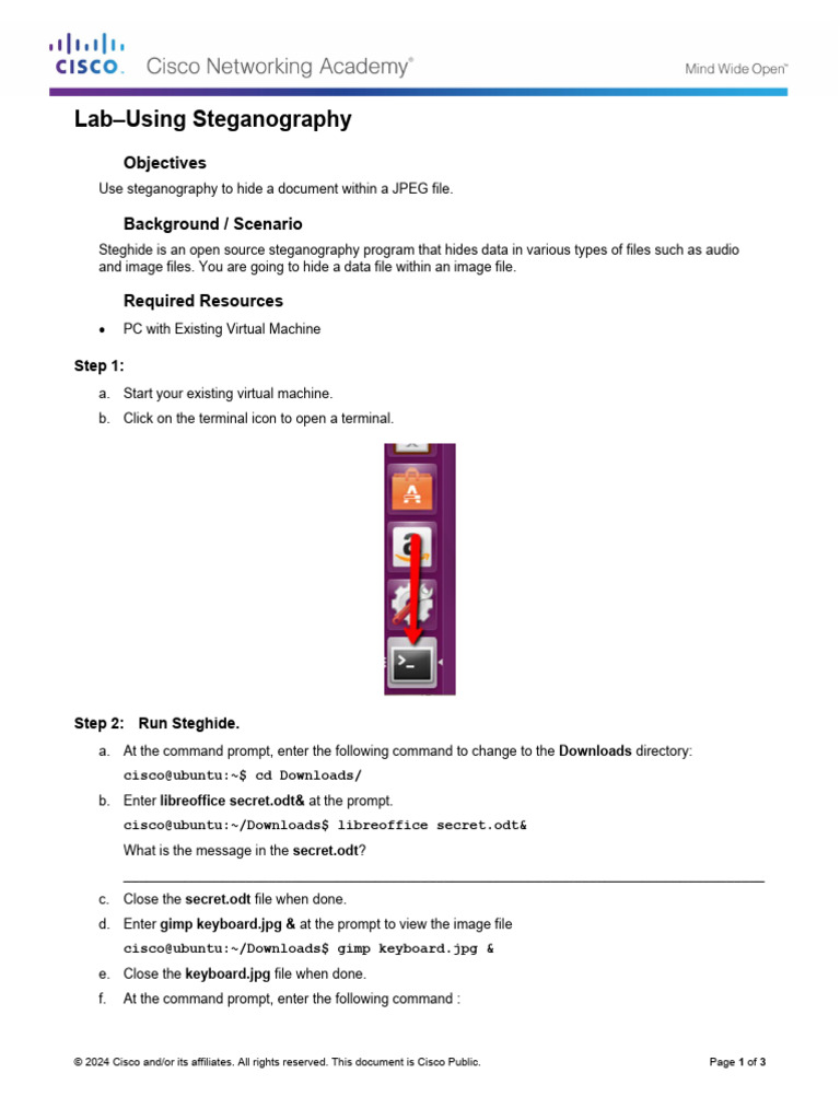 4.3.2.3 Lab - Using Steganography (1) | PDF | Computing | Software
