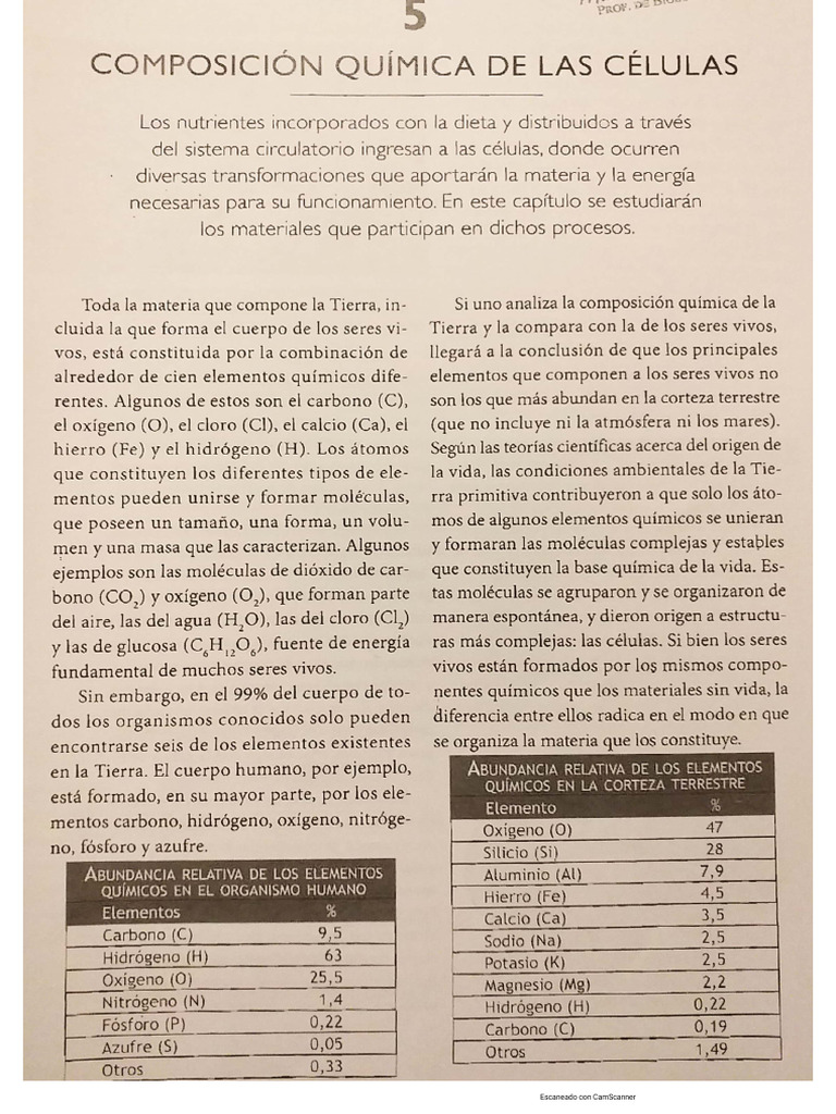 Bibliografía TP2 | PDF