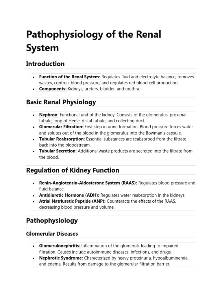 Renal System Pathophysiology Overview | PDF | Kidney | Chronic Kidney ...